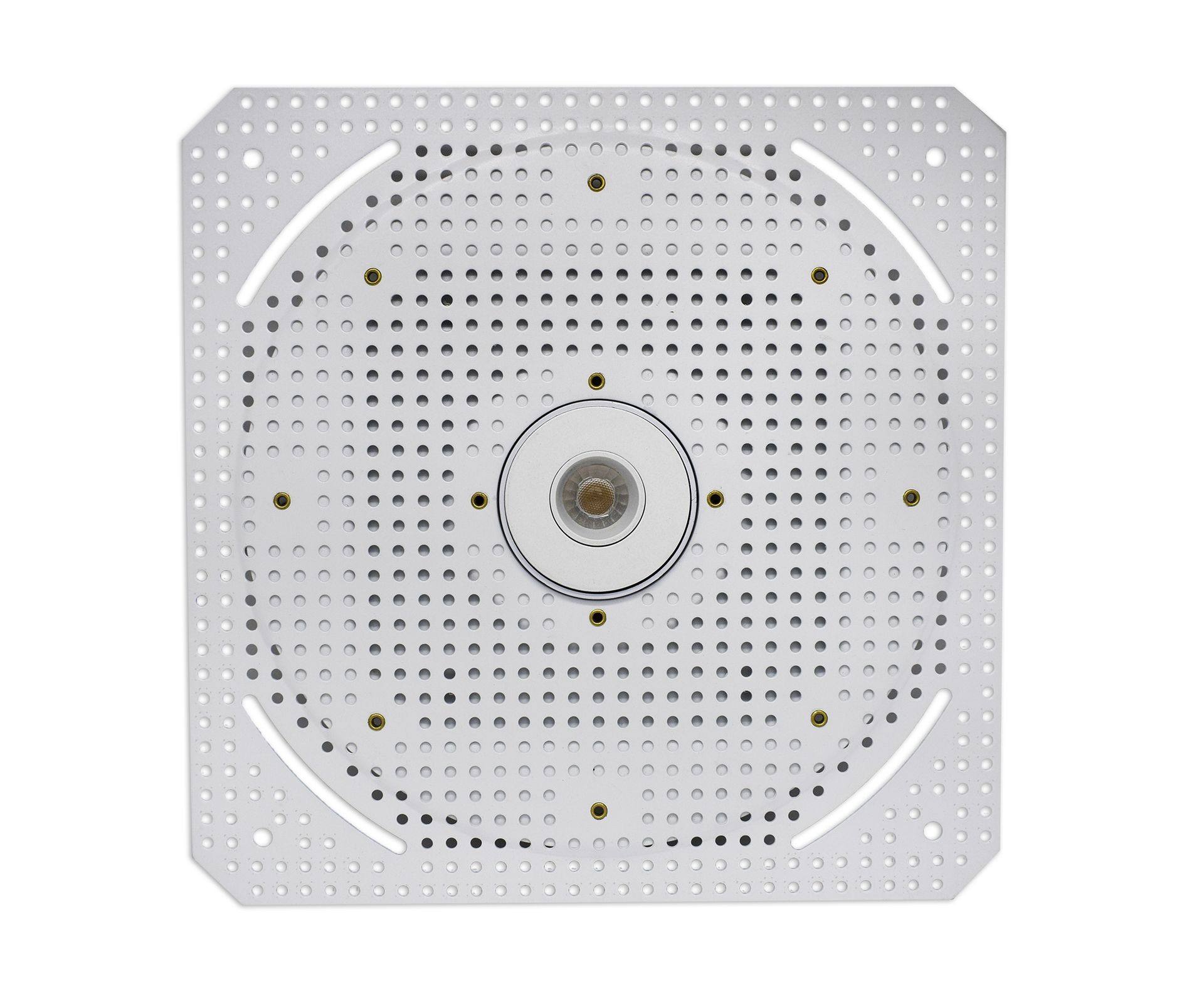 VENUS | Colorbeam Lighting